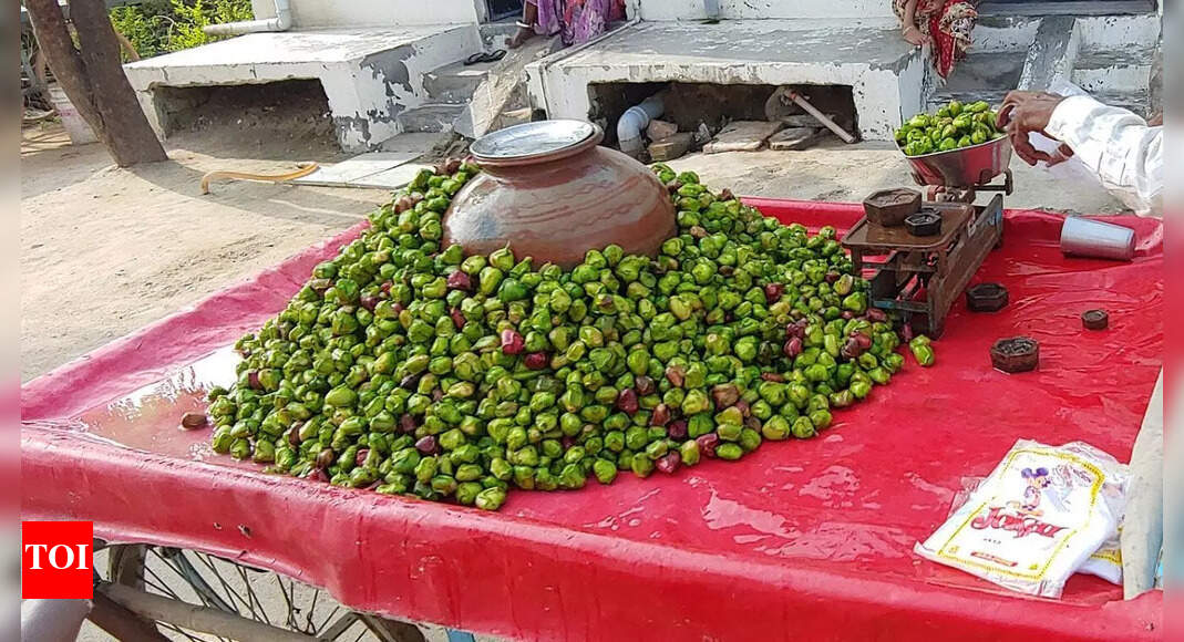 Water chestnut risks: Who should avoid eating ‘Singhara’ and how to ...