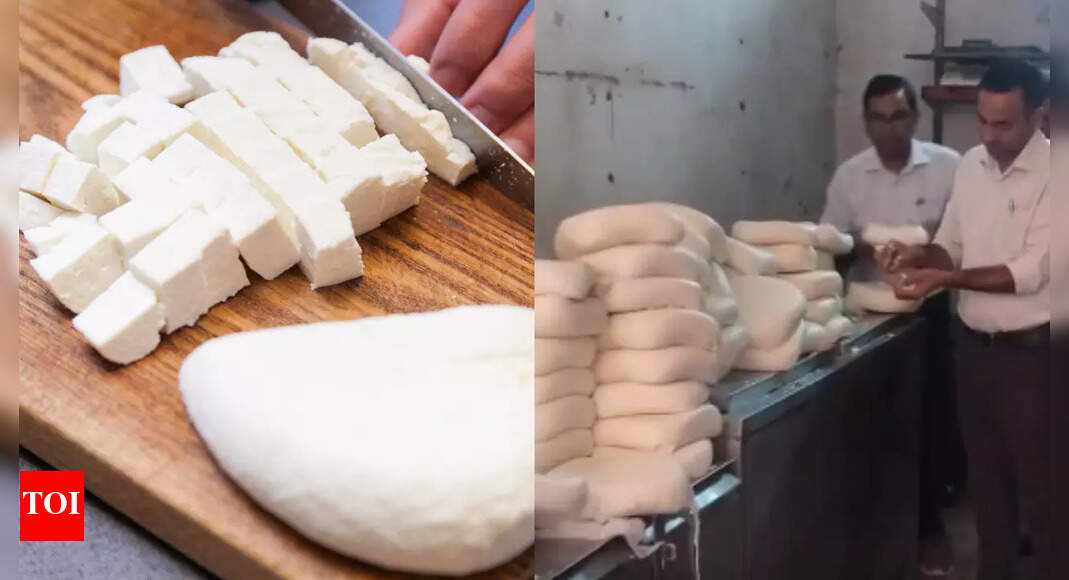 550 kg of fake paneer seized in Noida: 5 non-dairy paneer alternatives ...