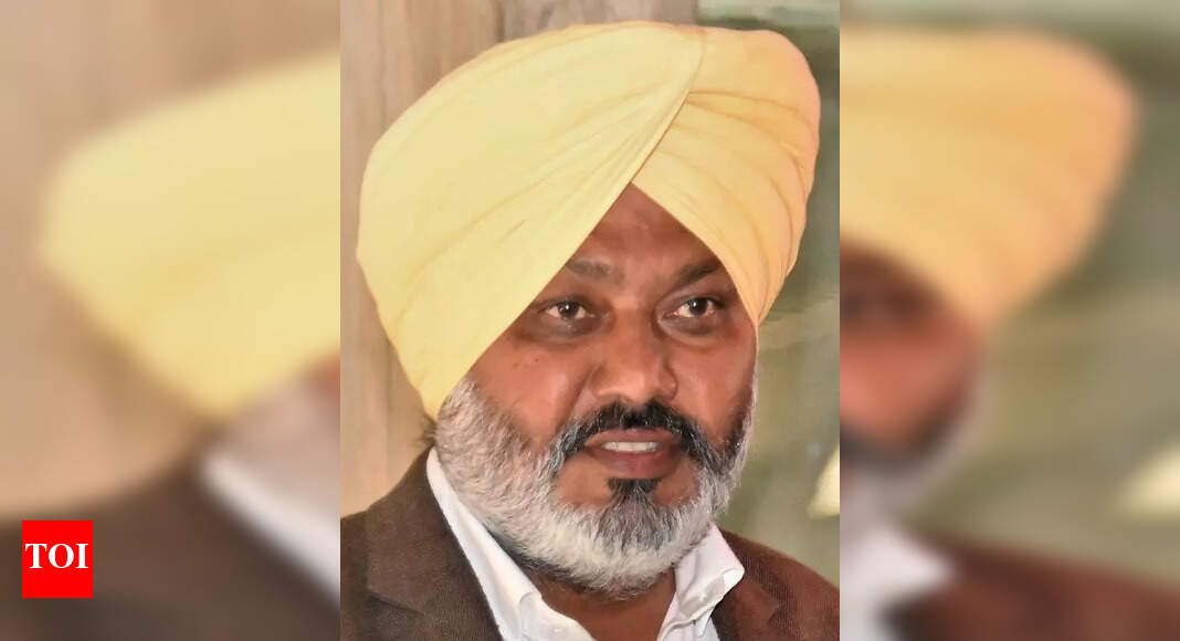 Punjab minister Cheema announces plan to desilt major rivers ...