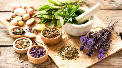 Medicinal forests of India: Reviving vanaspati culture in India - The Times of India