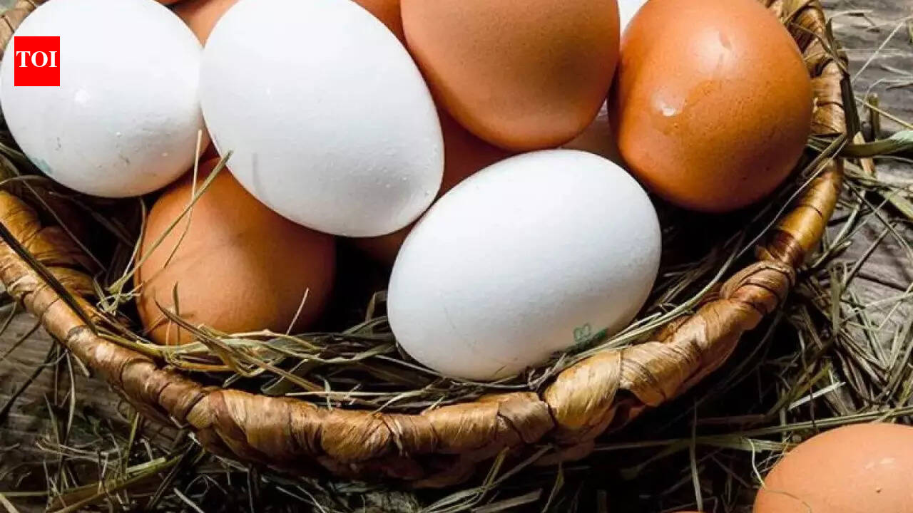 Brown eggs vs. white eggs: What’s the difference and which one is ...