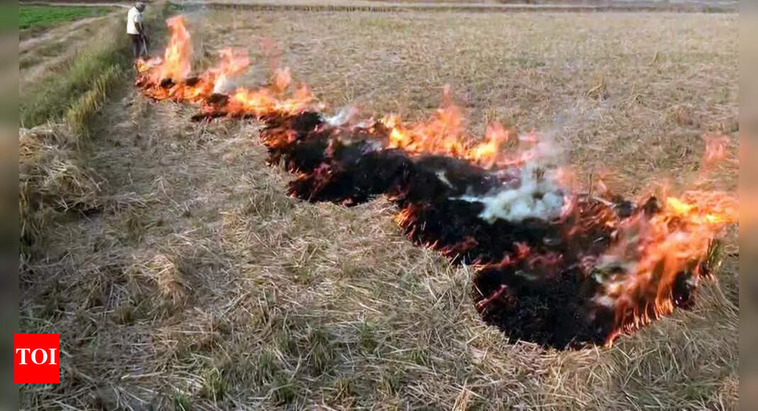 60 more stubble burning cases in Punjab push total count to 621 ...