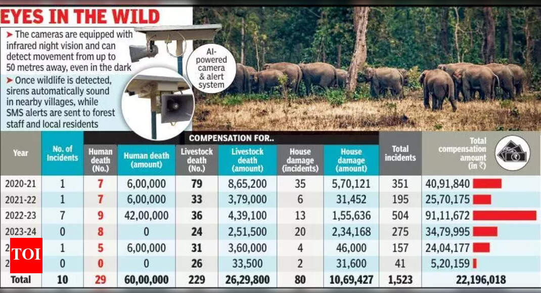 AI cameras aim to track elephants, reduce man–animal conflict in CG ...