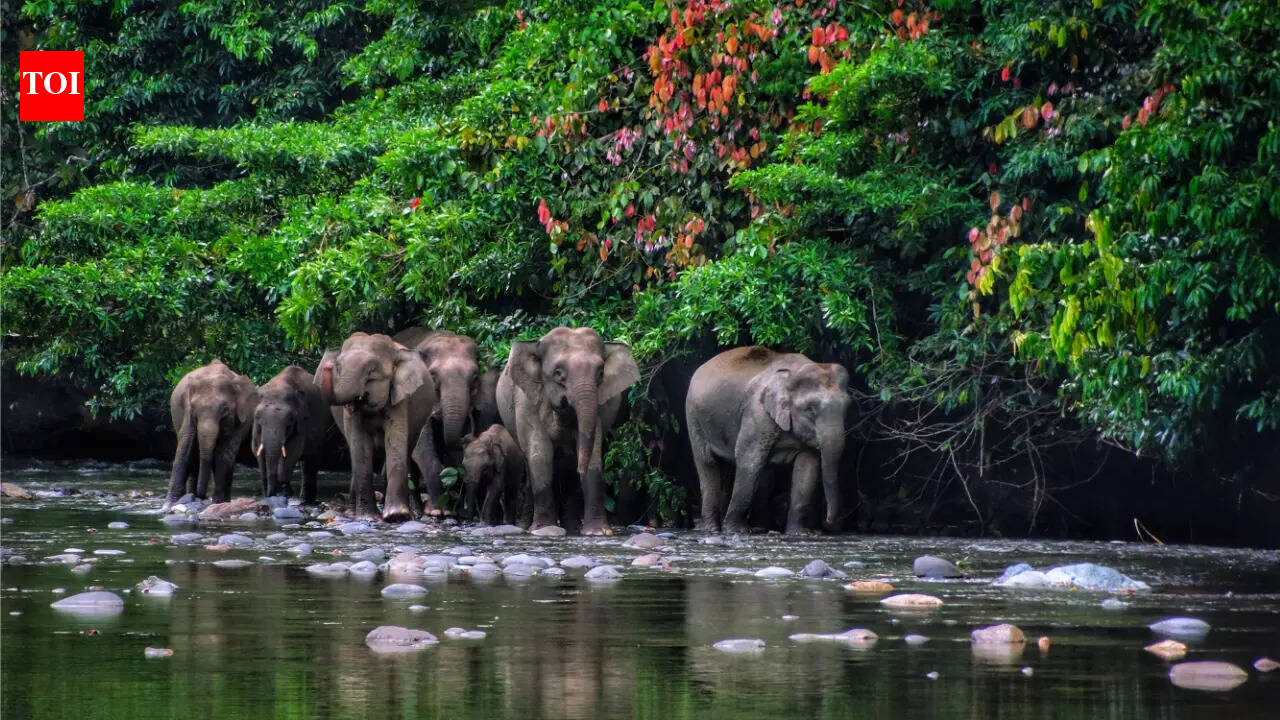 6 fascinating facts about this special island that is shared by three ...