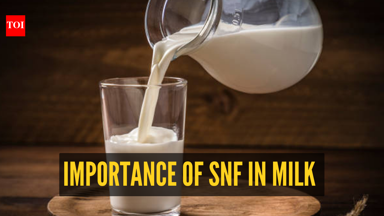 Why checking SNF percentage in milk packets is extremely important, and ...