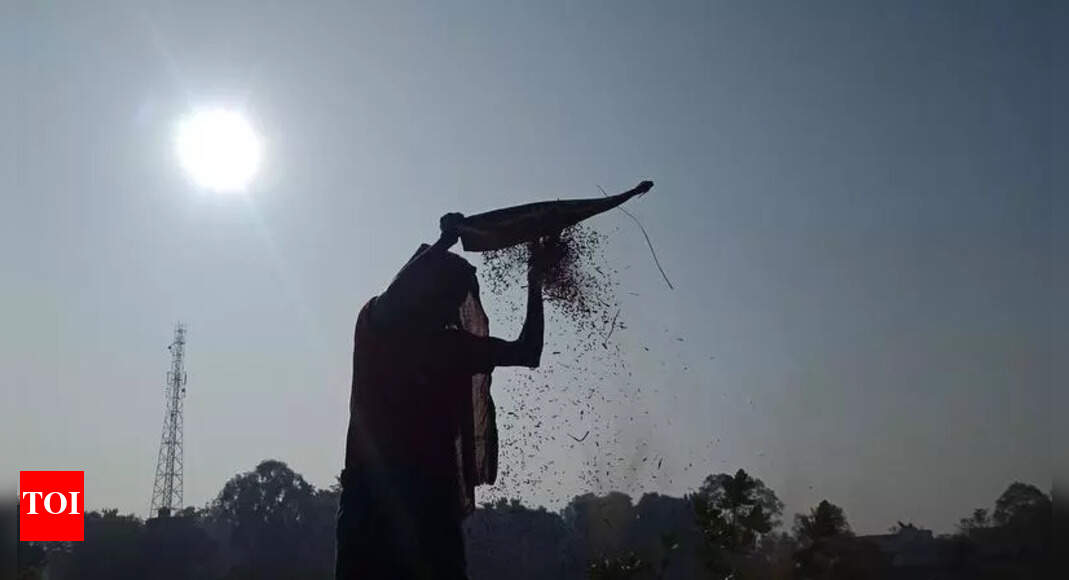 Paddy procurement for kharif season to begin on Nov 3 in AP ...