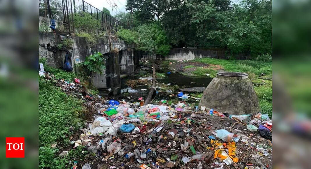 PMC’s inaction against open garbage dumping raises a stink | Pune News ...
