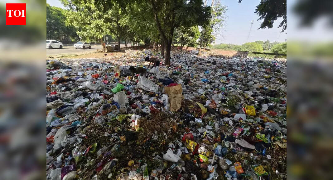 MC fails to find solution to Mohali’s garbage crisis | Chandigarh News ...