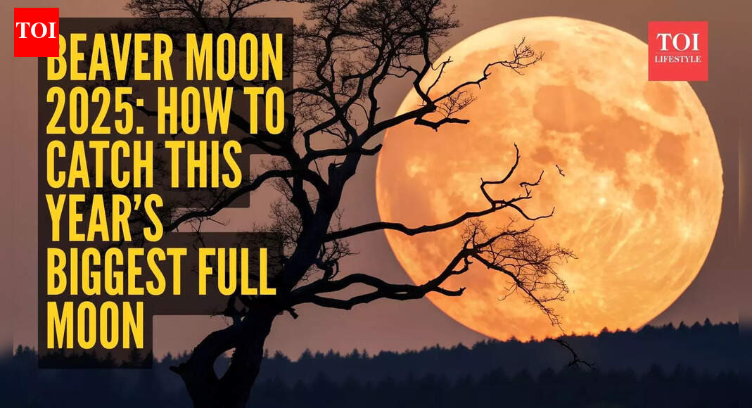 Beaver Moon 2025: When and how to see the biggest full moon of the year ...