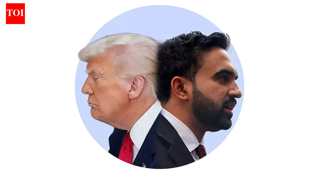America’s DONZO Moment - The Times of India