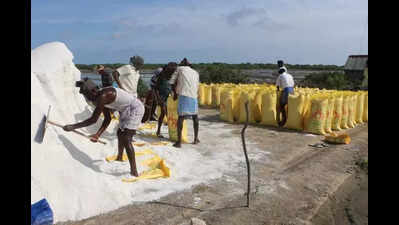 Salt production at Vedaranyam falls by half due to rain | Trichy News ...