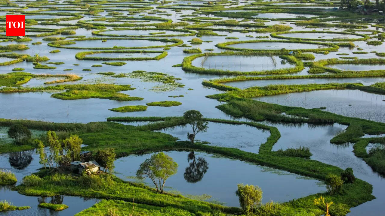 5 natural wonders found only in India