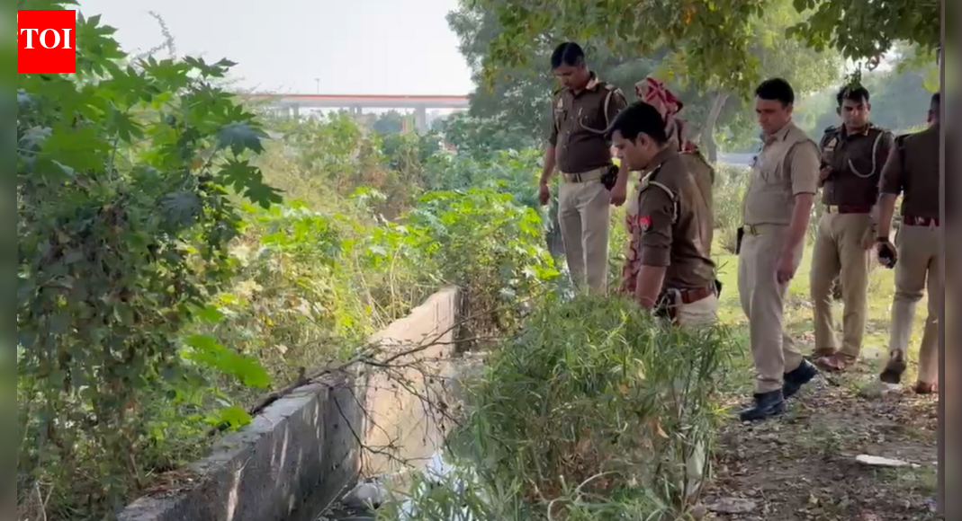 Noida horror: Woman’s headless body with severed hands found floating ...