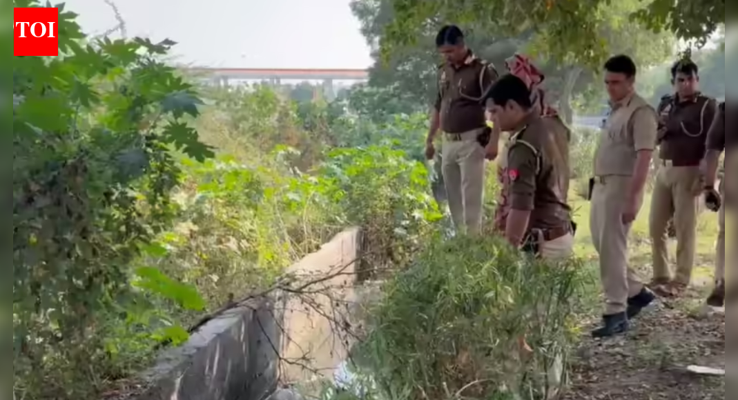 Noida murder mystery: Severed head, limbs of woman’s body found in ...