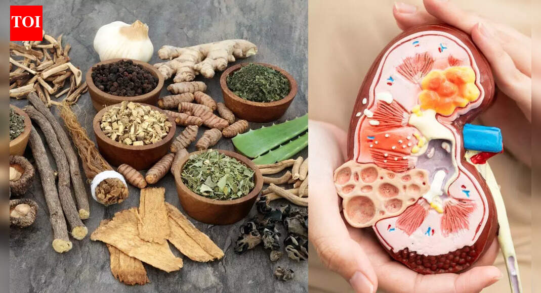 7 kidney-friendly herbs and spices that make your meals healthier and ...