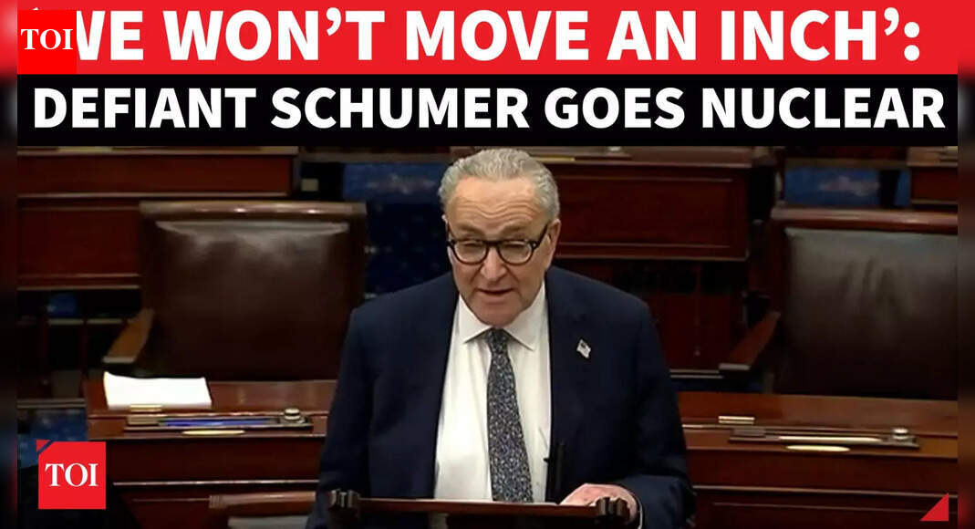 ‘Trump Isn't Satisfied...’: Angry Schumer's Scary Prediction As Dems ...