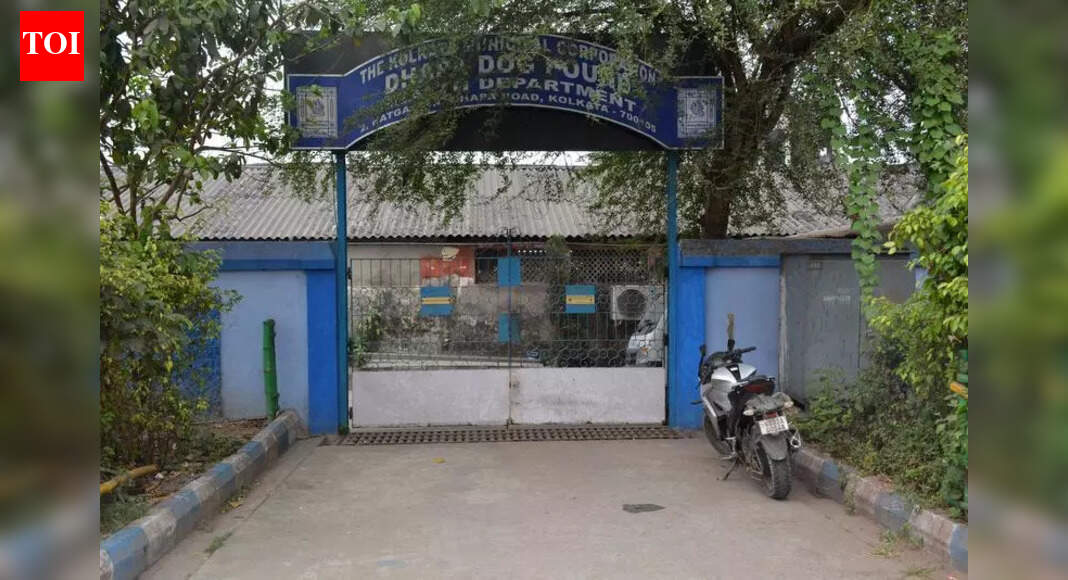 KMC plans new dog shelter at Dhapa with space for 3k strays | Kolkata ...