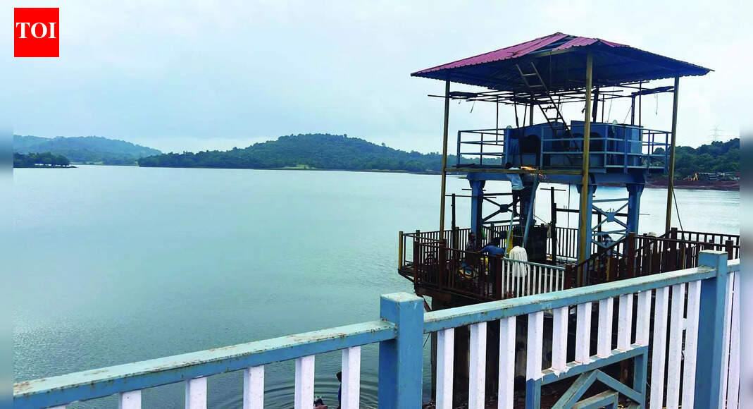 Amthane gets electric gates after four decades | Goa News - The Times ...