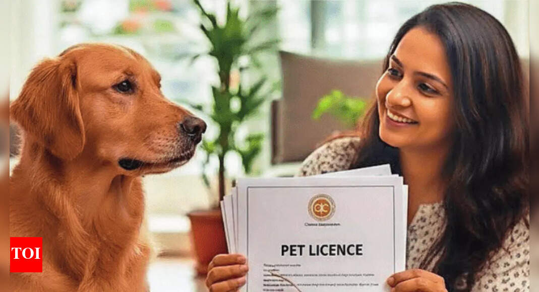 Pet-tiquette, please: Own a furry mate? Get ’em licensed too - The ...