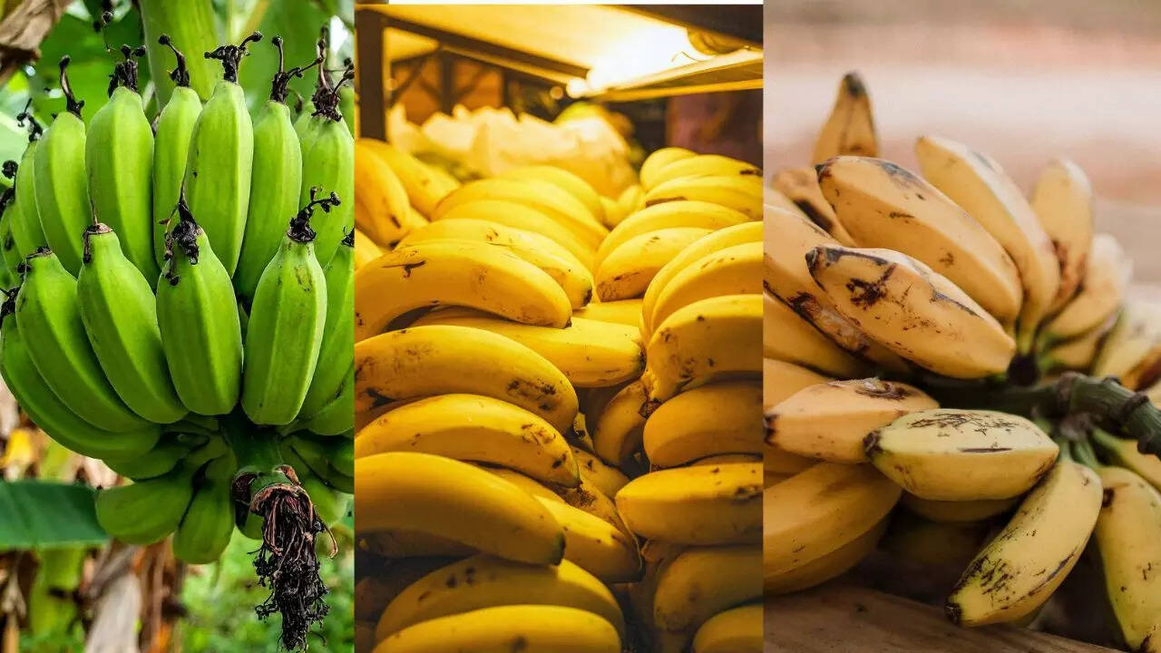 Types Of Bananas In The Philippines