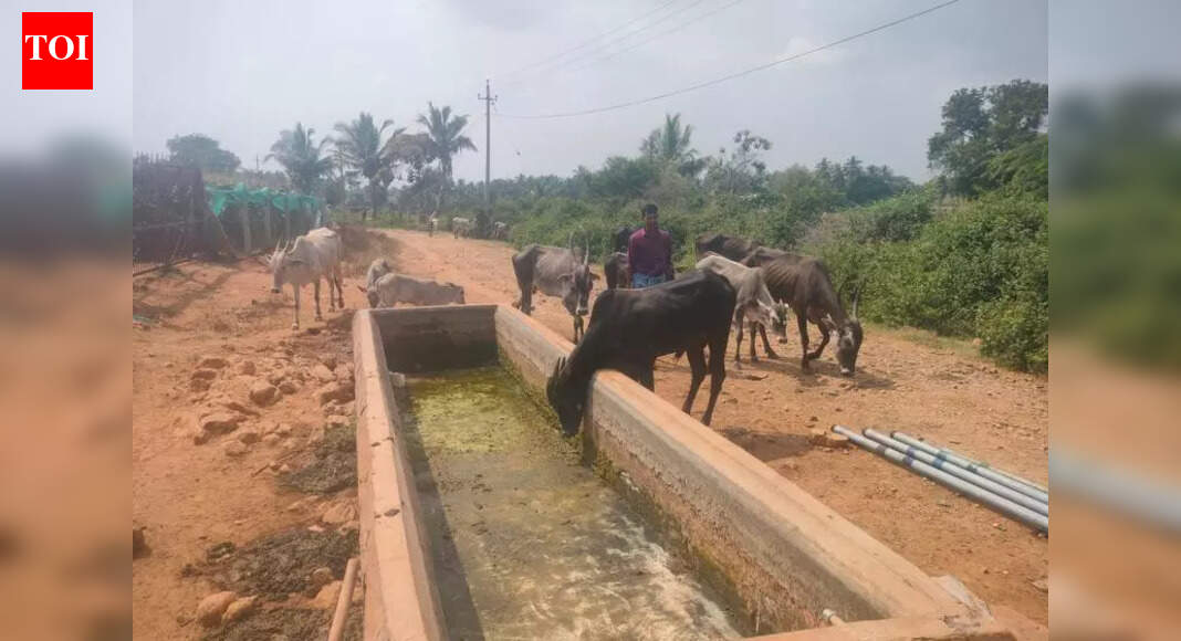 Over 20 villages in Hanur taluk facing acute water crisis | Mysuru News ...