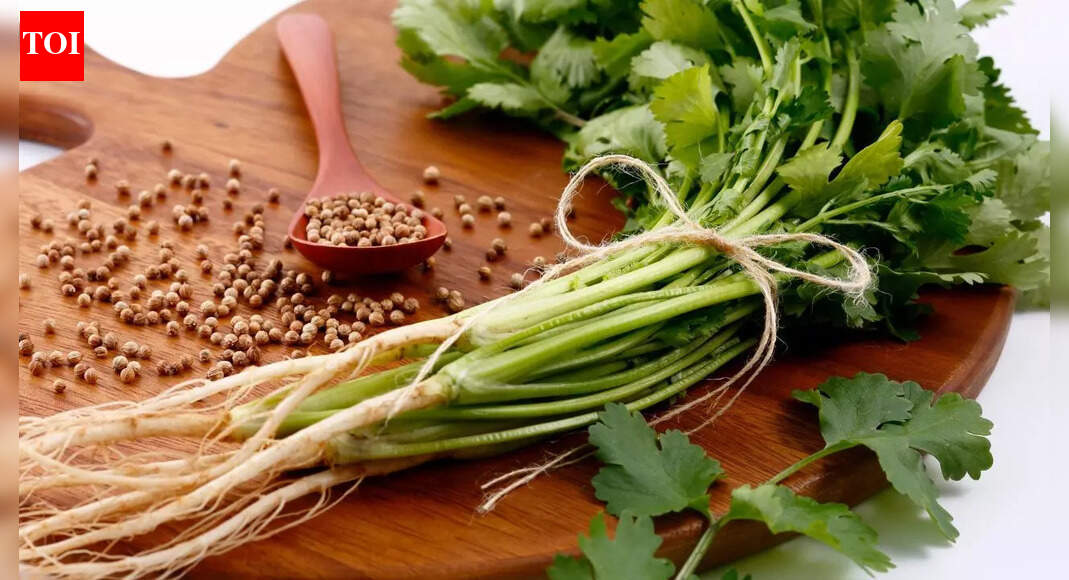 Why some people hate coriander: The science behind the soapy taste ...
