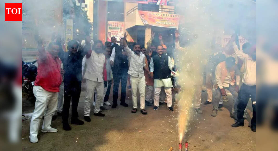 BJP workers celebrate Bihar victory | Prayagraj News - The Times of India