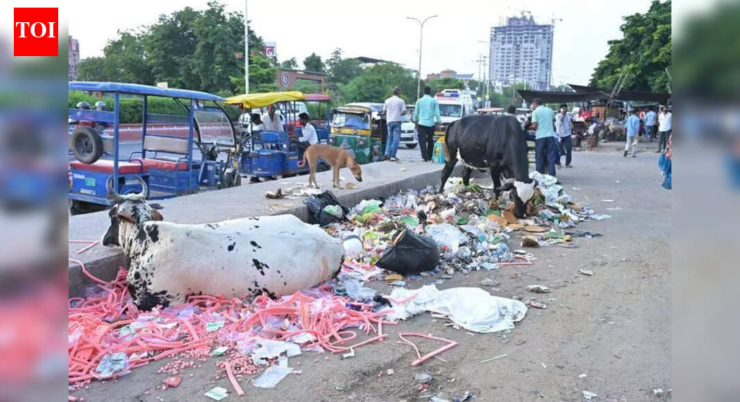 Garbage piles outside Jaipur’s top hosps spark outrage | Jaipur News ...
