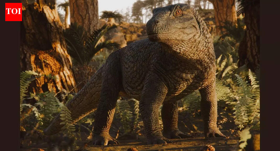 New warrior-like crocodile relative fossil found in Brazil reshapes ...