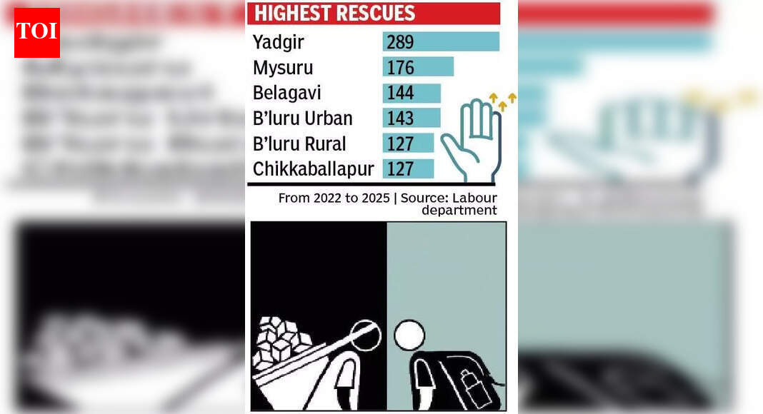 512 child labourers freed this year; Yadgir tops rescues | Bengaluru ...