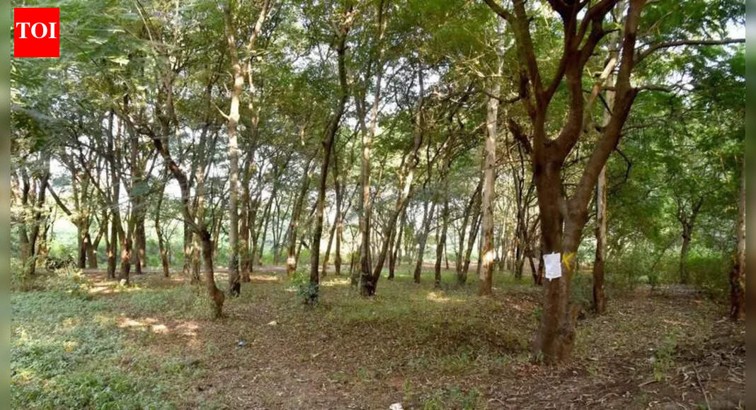 Nashik Municipal Corporation receives over 125 objections for its tree ...