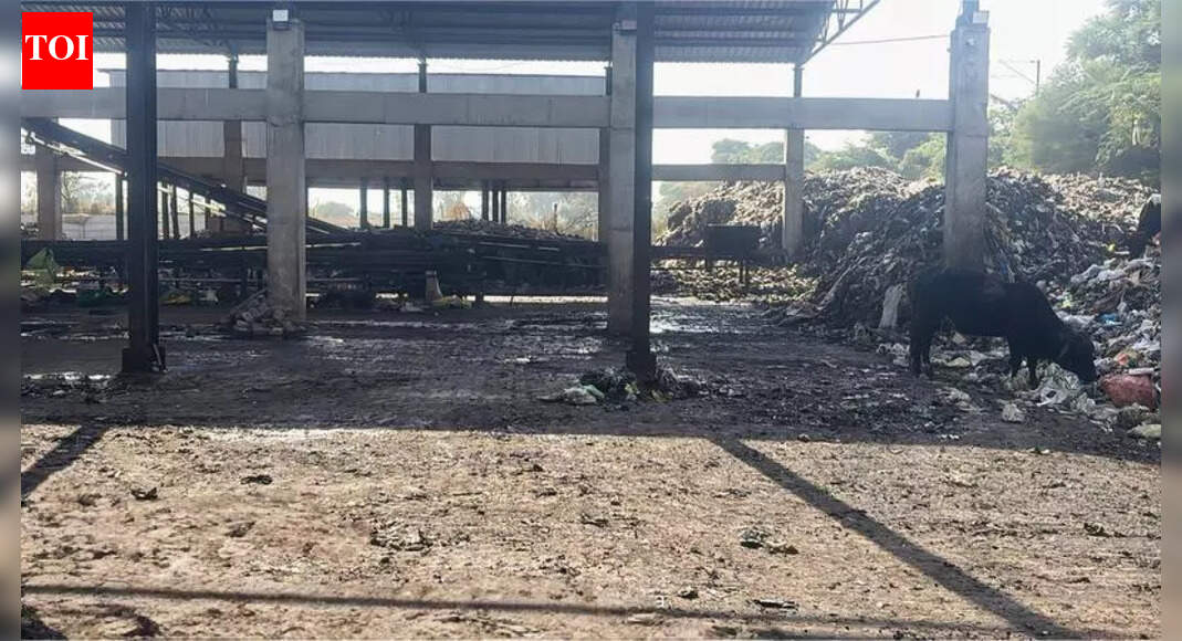 Bird hit threat: MC covers garbage plant site near airport | Chandigarh ...