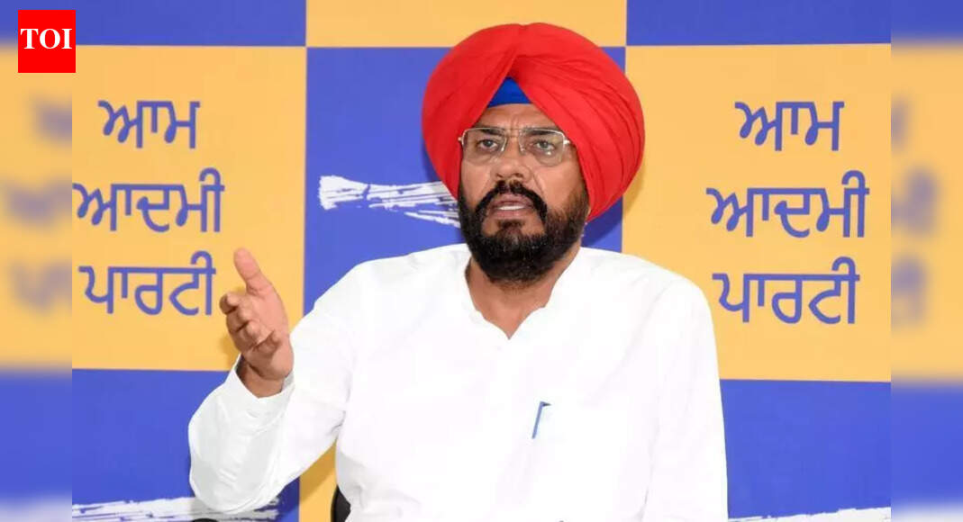 Punjab to distribute flood relief by Nov 30: Dhaliwal | Chandigarh News ...