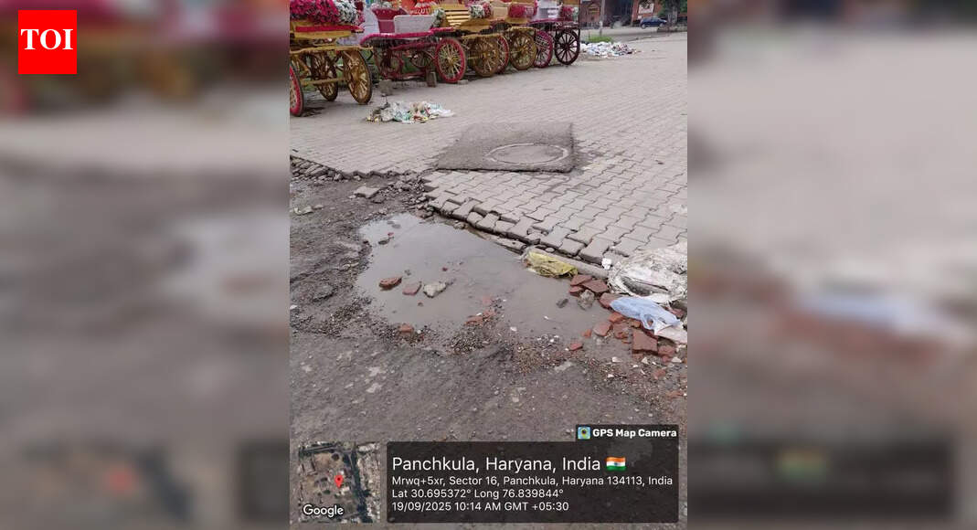 Plaints raised on ‘Mhari Sadak’ app go unheard, residents knock on MC ...