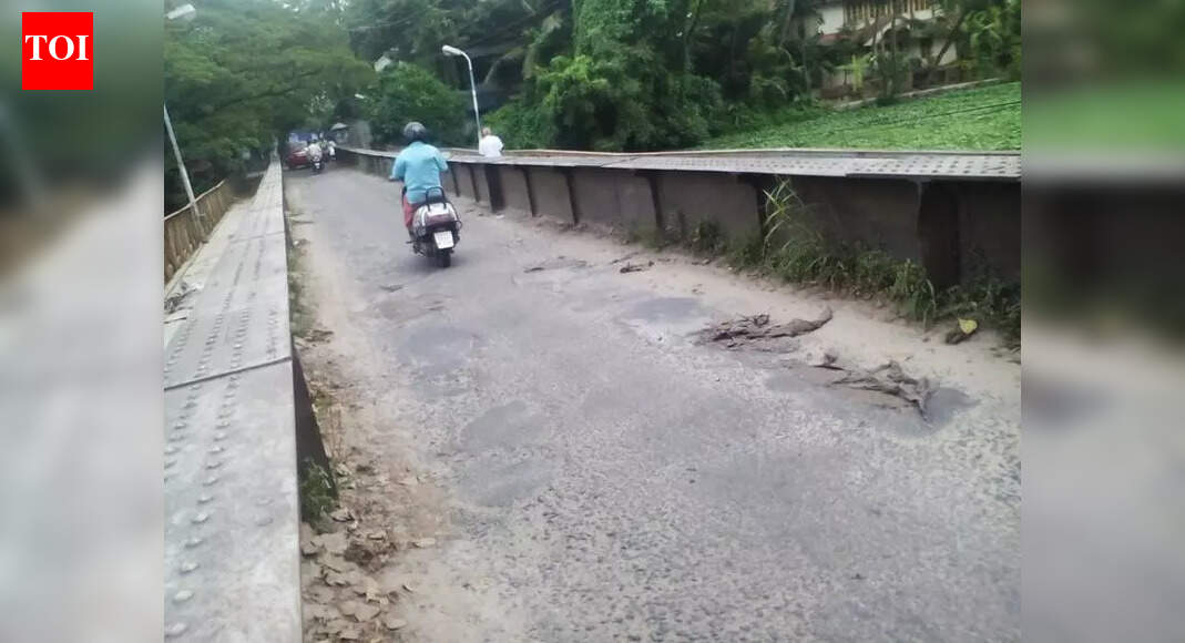 Land acquisition delay holds up 132-year-old iron bridge work | Kochi ...