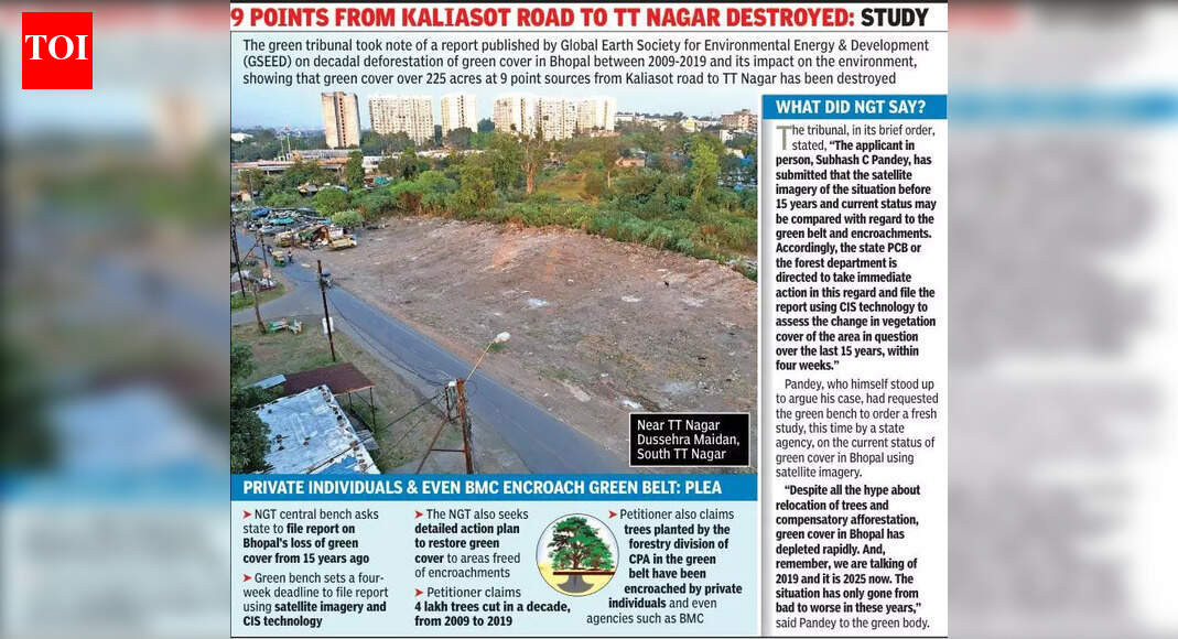 NGT seeks status report on ‘axing of Bhopal’s tree cover without mercy ...