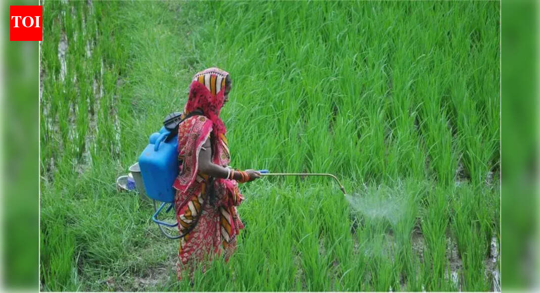 Krishi Mela is invaluable programme for farmers: Mandya DC | Mysuru ...