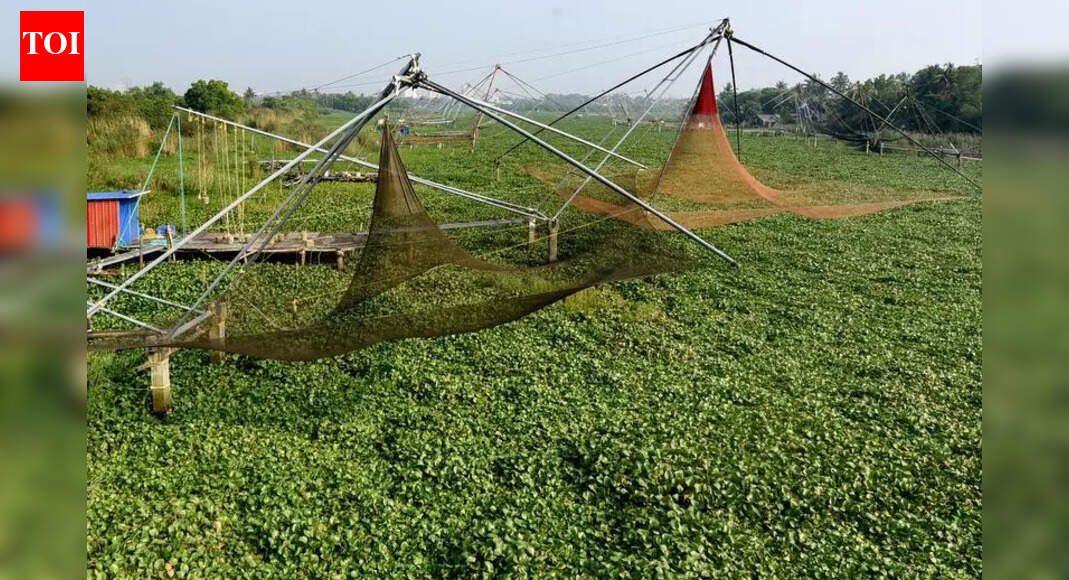 Weed and silt removal machines remain unused in Kochi | Kochi News ...