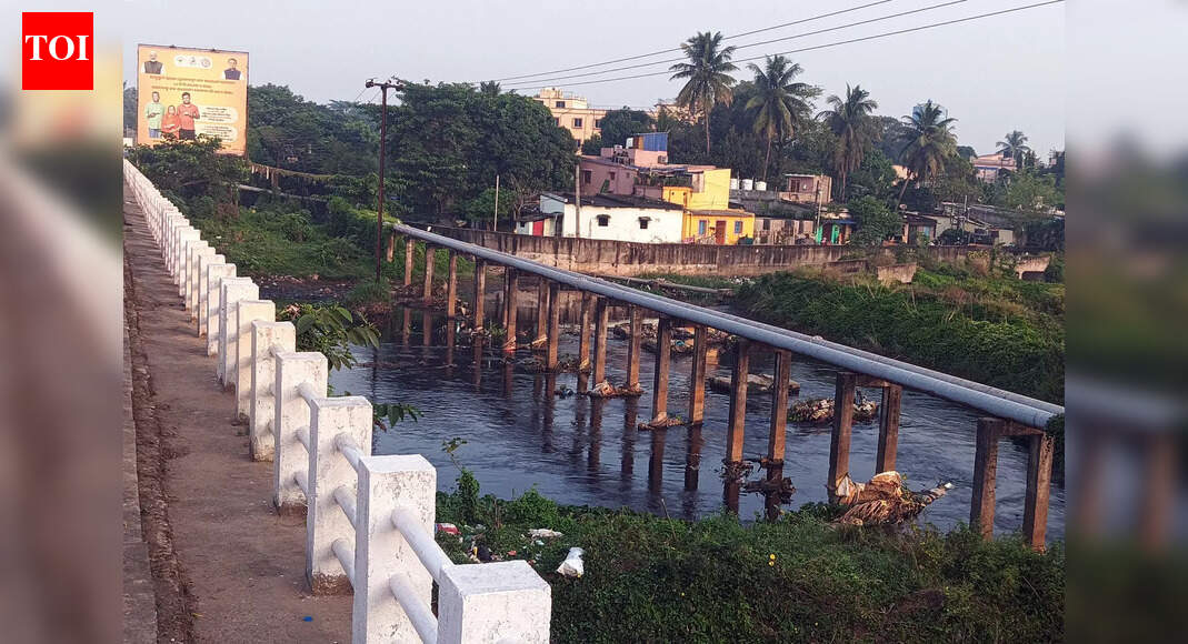 Govt plans Gangua Nullah rejuvenation following Jaipur model ...