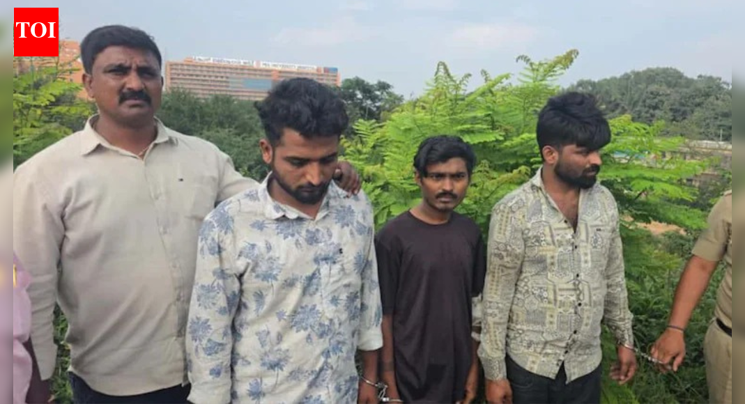 Machete murder in car: Bengaluru man kills younger brother with friend ...