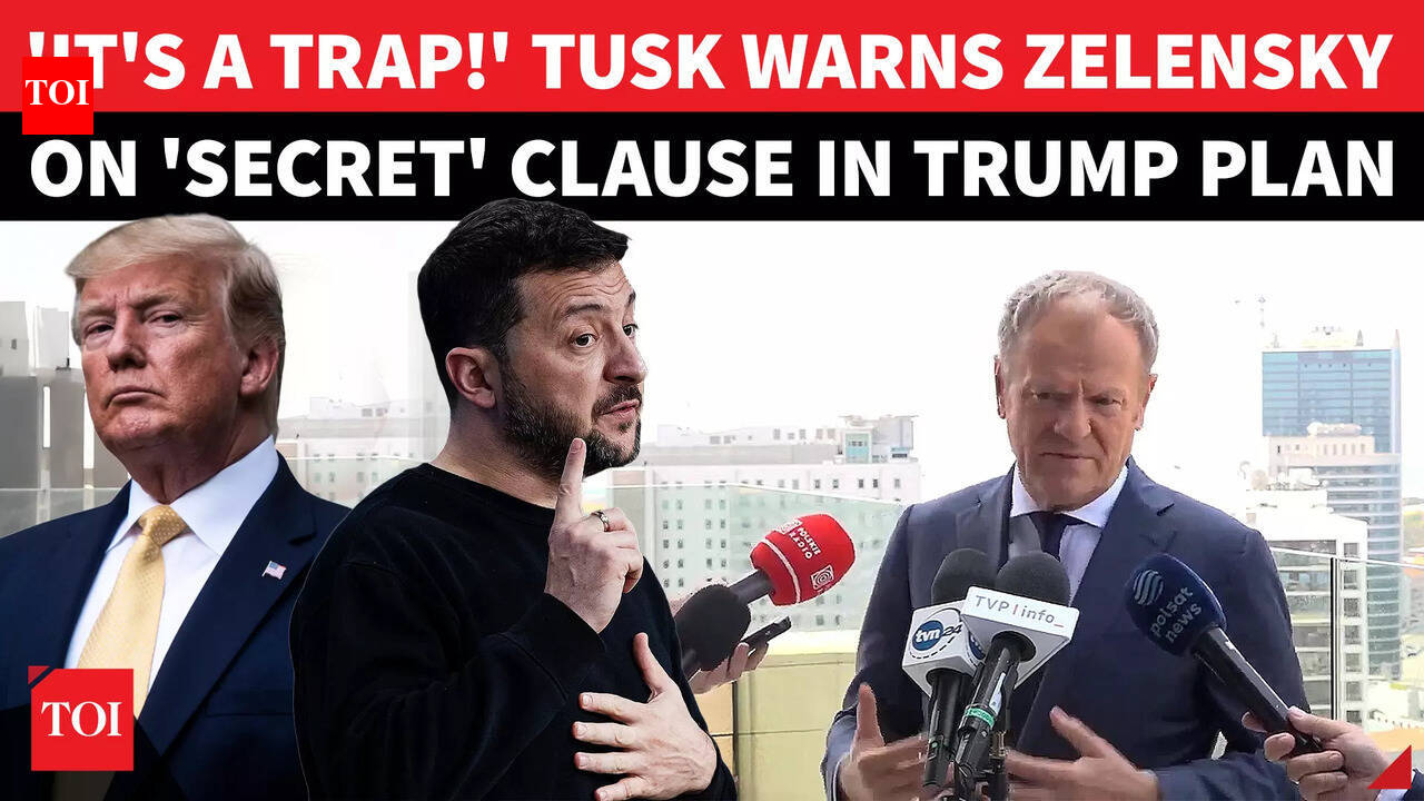 NATO Nation's PM BERATES Trump's 'Pro-Putin Zelensky Surrender' Plan ...