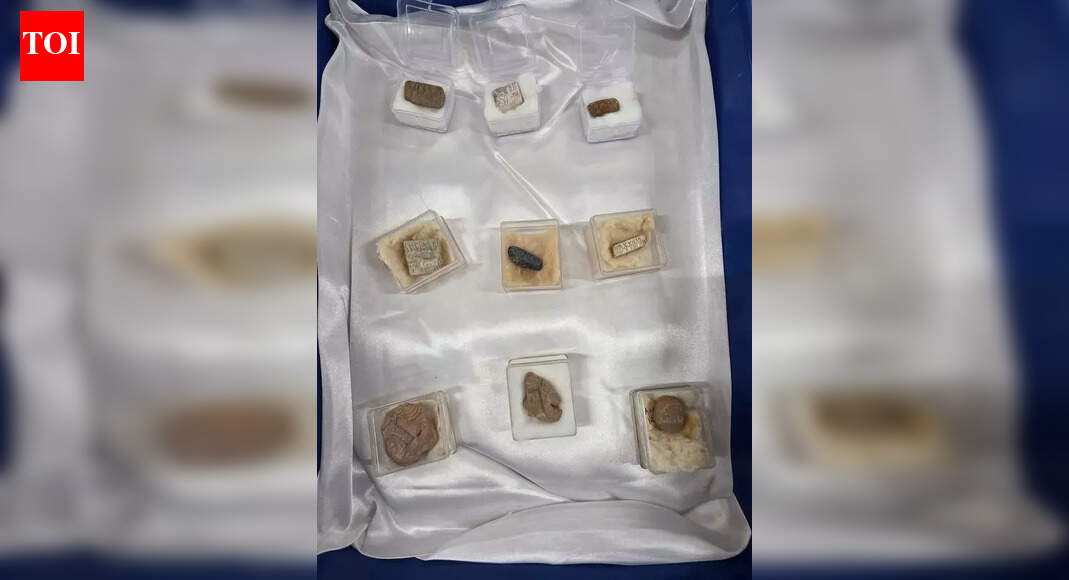 Ernestite drills discovered at Lothal in fresh excavation: ASI | Ahmedabad News - The Times of India