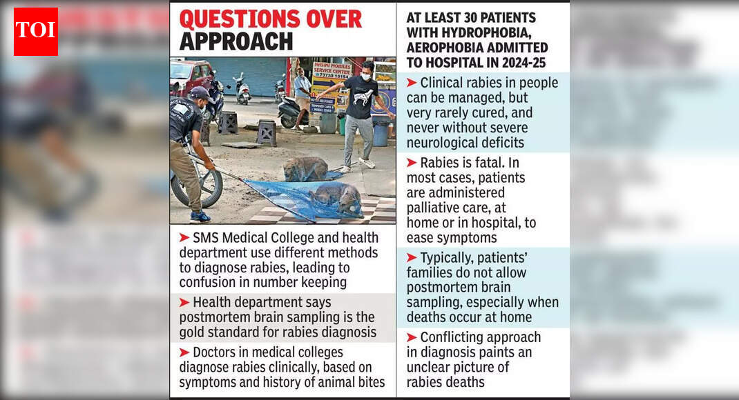 At least two rabies cases in SMS Hospital every month | Jaipur News ...