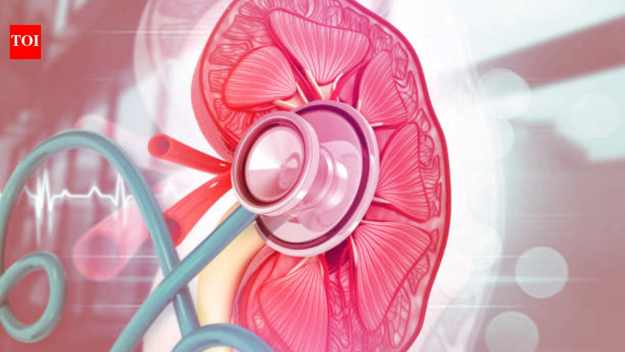 Kidney Damage: 'Healthy' foods that can turn toxic for kidneys if overeaten