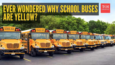 Ever wondered why school buses are yellow? Here’s the answer - The ...