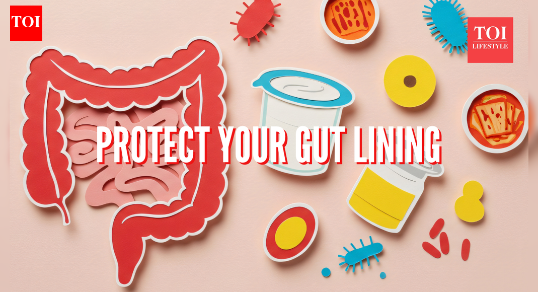 Gut Lining: These 4 common habits could be destroying your gut lining