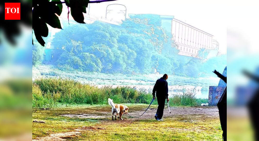 Pune's minimum temperature drops to single digits | News Minimalist