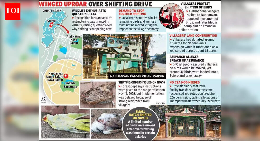 Nandanvan birds shifted to Jungle Safari amid allegations & protests ...