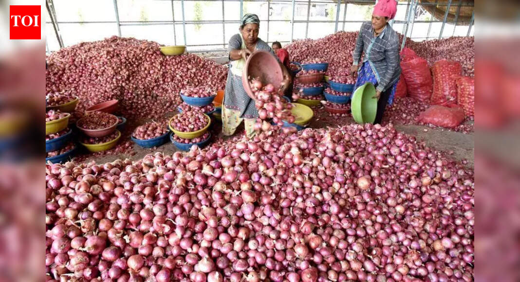 55% rise in avg wholesale price of new kharif onions | Nashik News ...