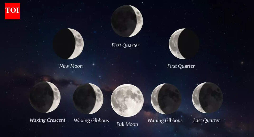 Your Moon phase according to your date of birth | - The Times of India
